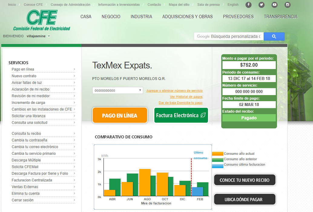 The trials and tribulations of paying our CFE (Electric) bill online in ...